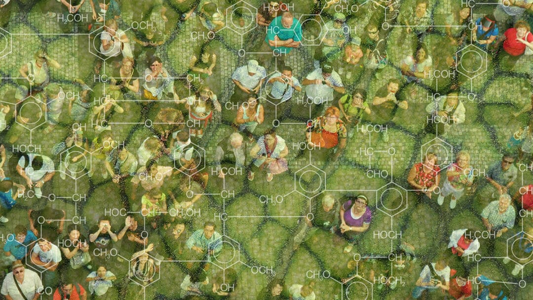 Designing for a Warming Wold / Revisited - CoDesign Collaborative